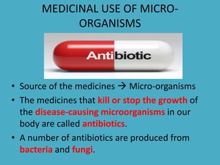 Medicinal use of Micro-organisms - Class 8 | PPTX
