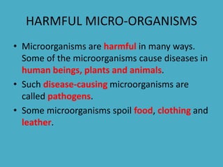 Microorganisms and Environment - Class 8 | PPTX