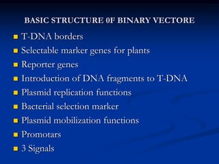 A comprehensive study of shuttle vector & binary vector and its rules of in gene transfer | PPTX