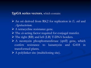 A comprehensive study of shuttle vector & binary vector and its rules of in gene transfer | PPTX