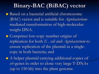 A comprehensive study of shuttle vector & binary vector and its rules ...