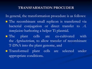 A comprehensive study of shuttle vector & binary vector and its rules of in gene transfer | PPTX
