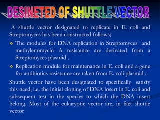 A comprehensive study of shuttle vector & binary vector and its rules ...