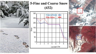 Spectral signature and spectral libraries | PPTX