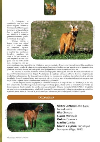 Sumario lobo guara | PDF