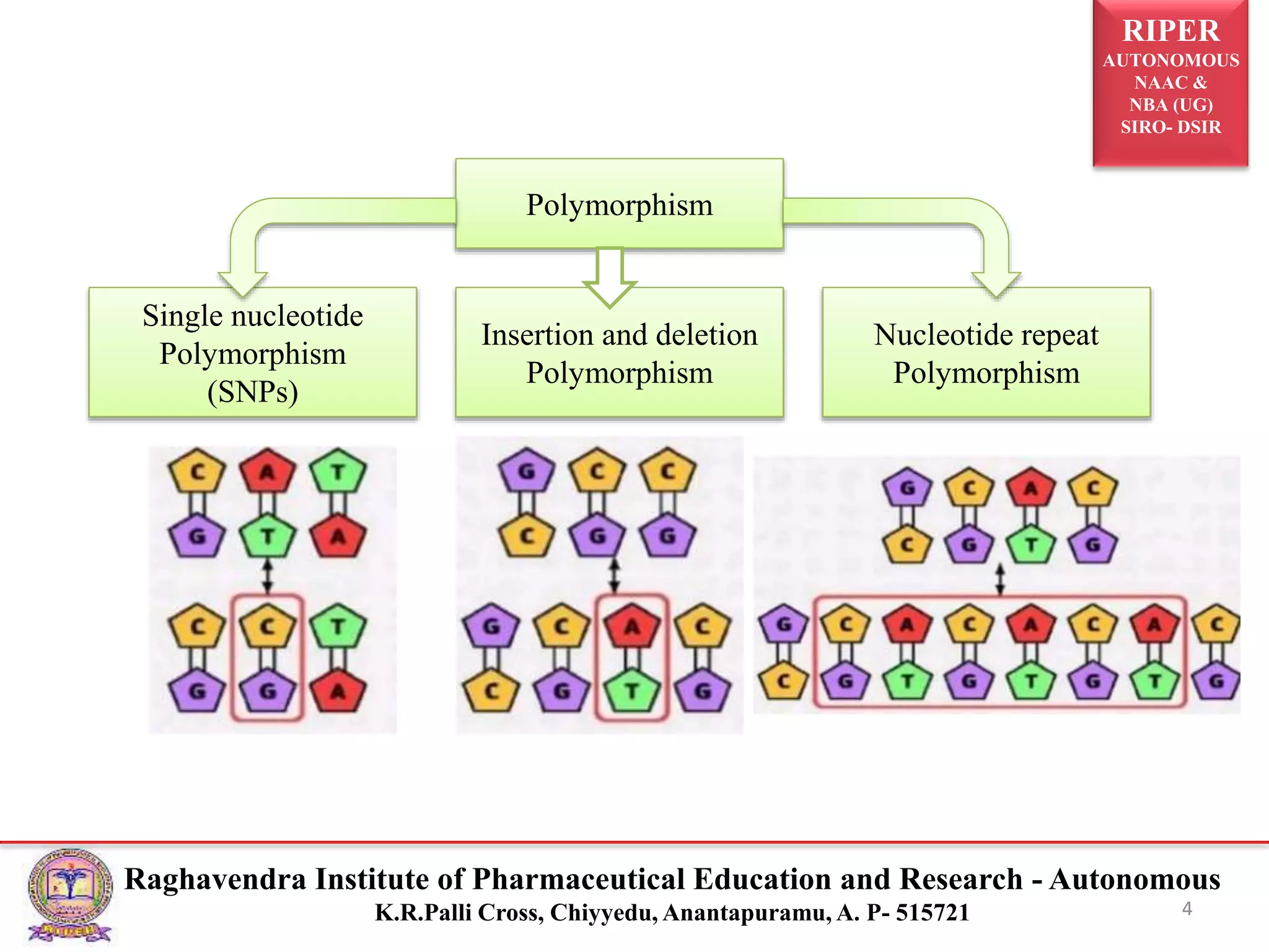 Polymorphism Affecting Drug Metabolism | PPTX