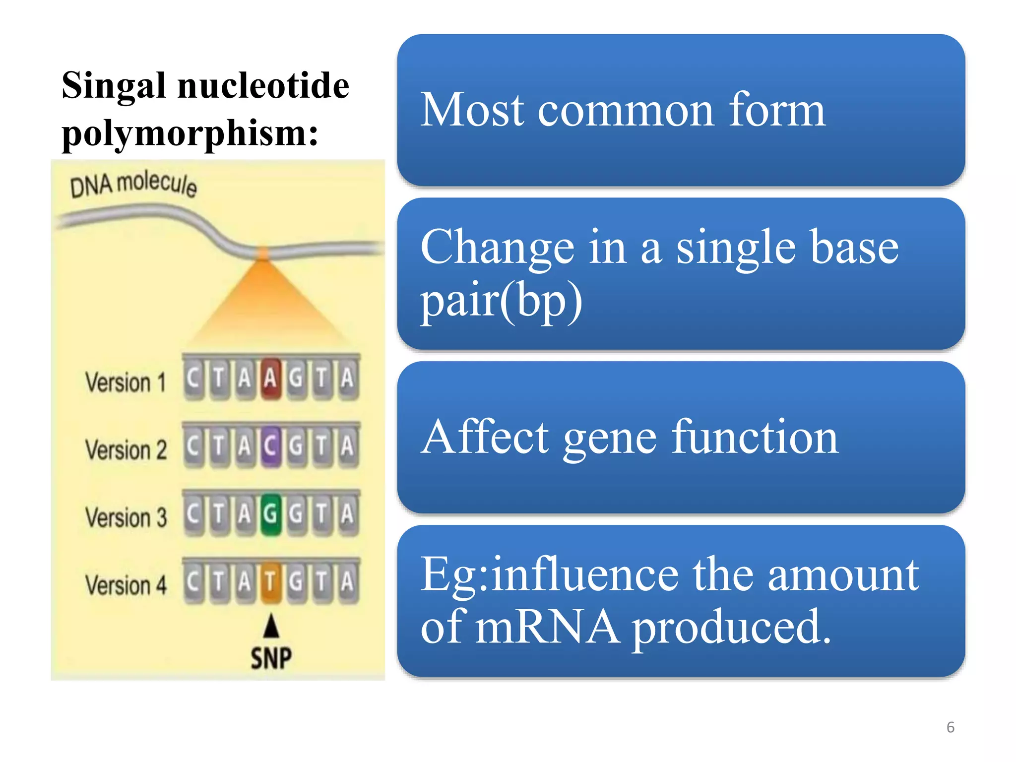 Polymorphism Affecting Drug Metabolism | PPTX