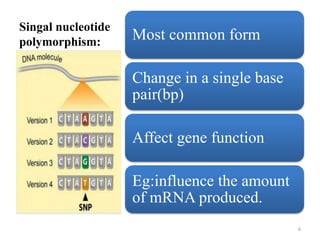 Polymorphism Affecting Drug Metabolism | PPTX