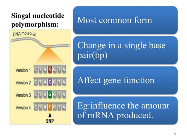 Polymorphism Affecting Drug Metabolism | PPTX