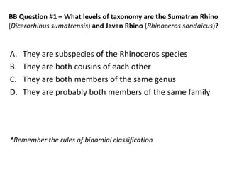 Sumatran rhinos | PPT