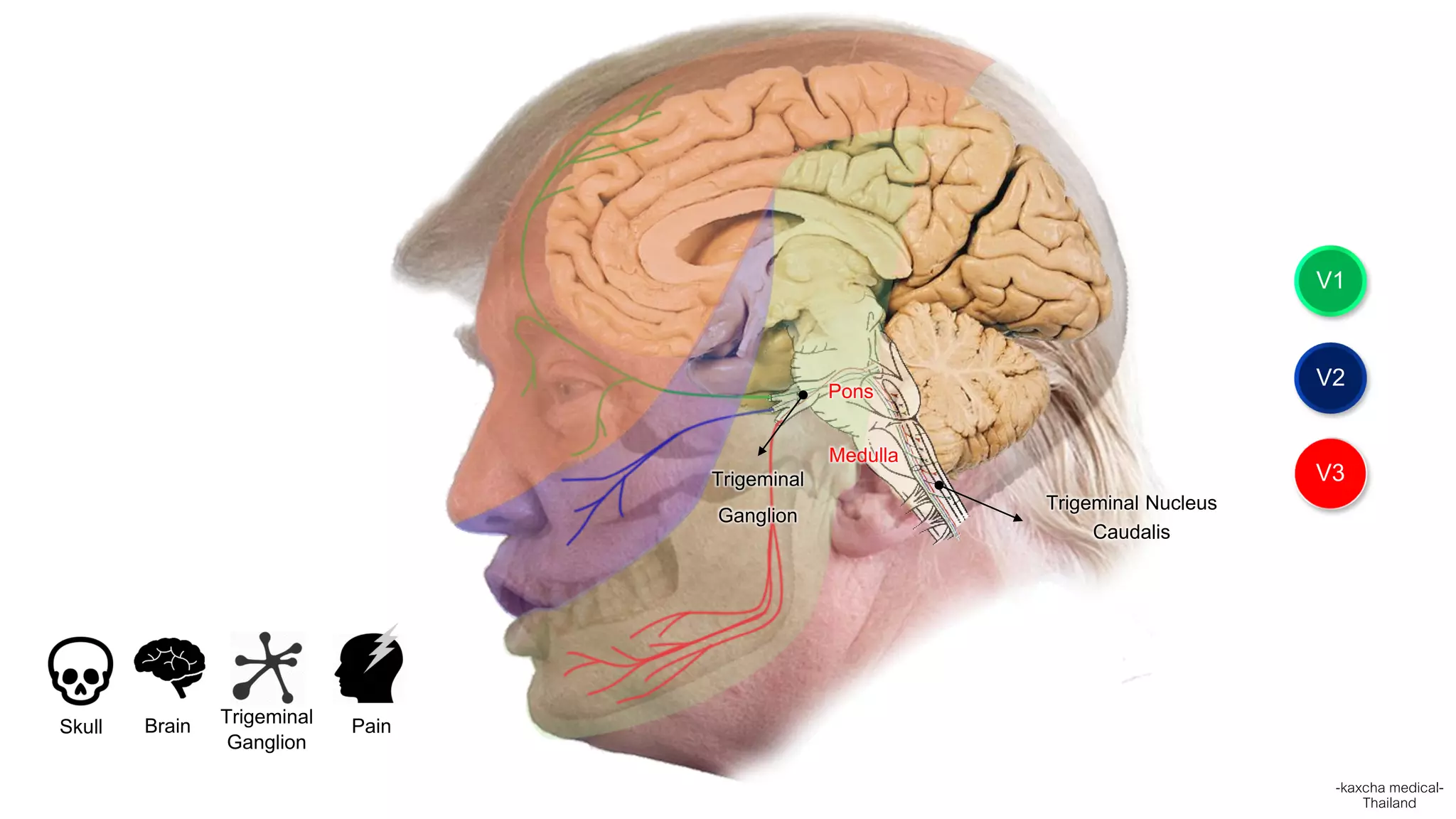 Sumatriptan and migraine | PDF