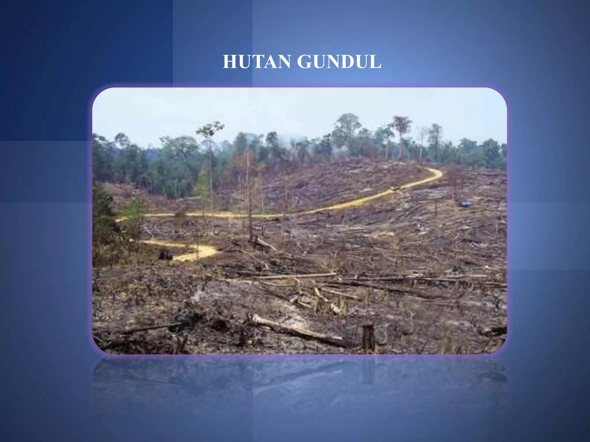 Sumber daya hutan | PPTX