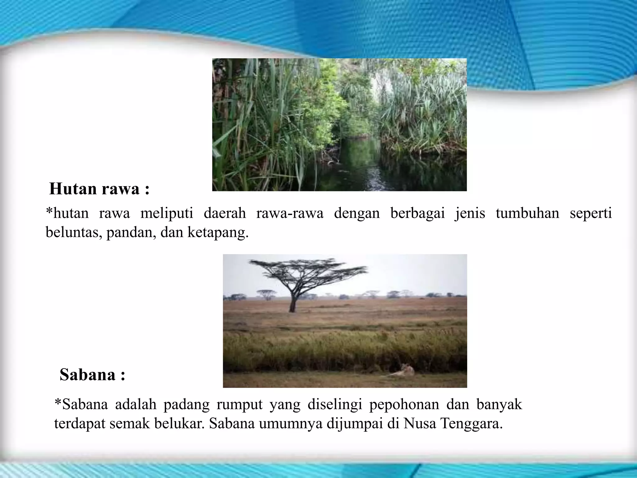 Sumber daya hutan | PPTX