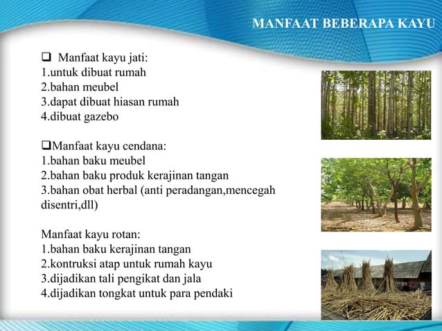 Sumber daya hutan | PPTX