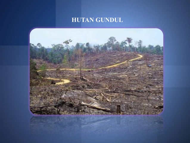 Sumber daya hutan | PPTX