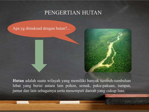 Sumber daya hutan | PPTX