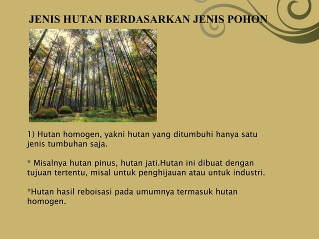 Sumber daya hutan | PPTX