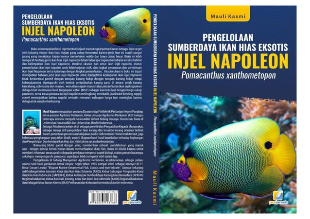 SUMBERDAYA IKAN HIAS EKSOTIS INJEL NAPOLEON Pocanthus xanthometopon (4 ...