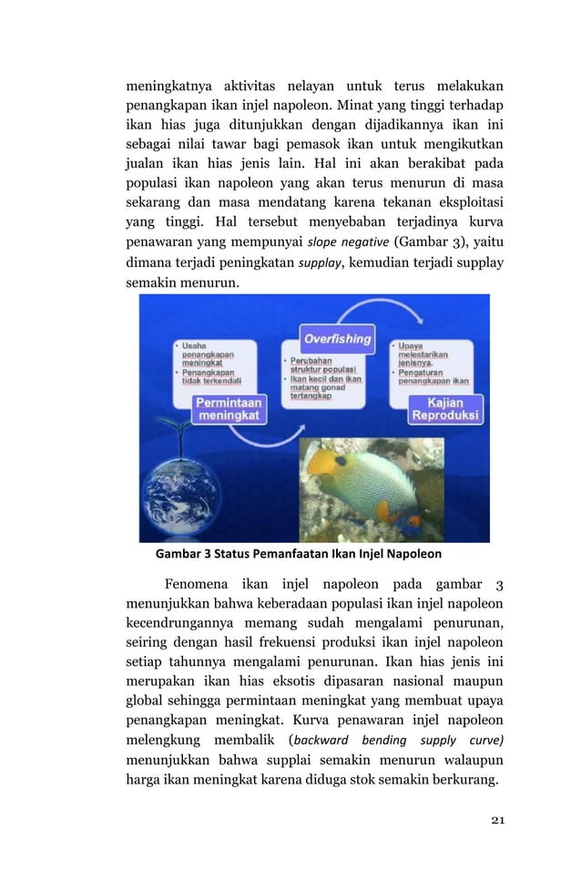 SUMBERDAYA IKAN HIAS EKSOTIS INJEL NAPOLEON Pocanthus xanthometopon (4 ...