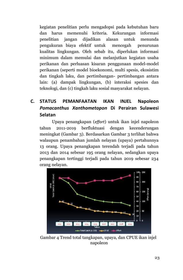 SUMBERDAYA IKAN HIAS EKSOTIS INJEL NAPOLEON Pocanthus xanthometopon (4 ...