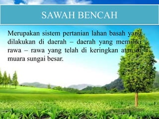 Sumber daya lahan kelompok 1 | PPTX