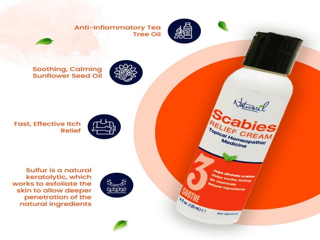 Nabshsbsjsbebjeb IWS dermatology Scabies.pptx