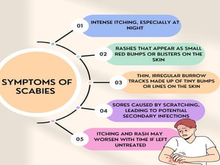 Nabshsbsjsbebjeb IWS dermatology Scabies.pptx
