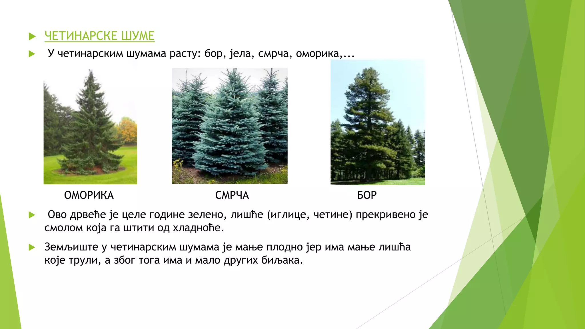 Sume | PPTX