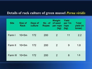 Mussel Farming in Kerala | PPT