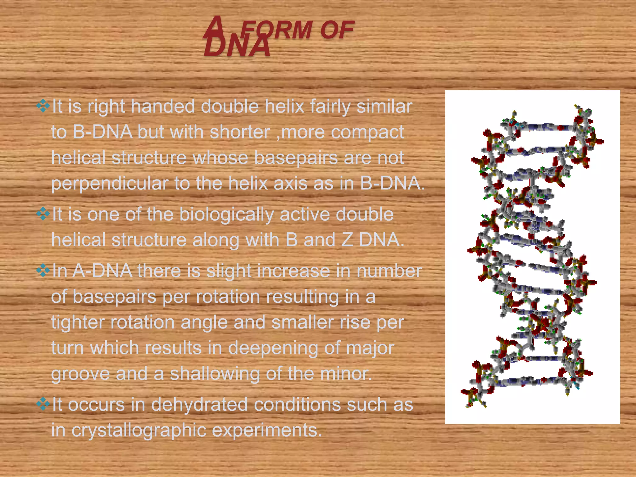 Forms of DNA | PPTX