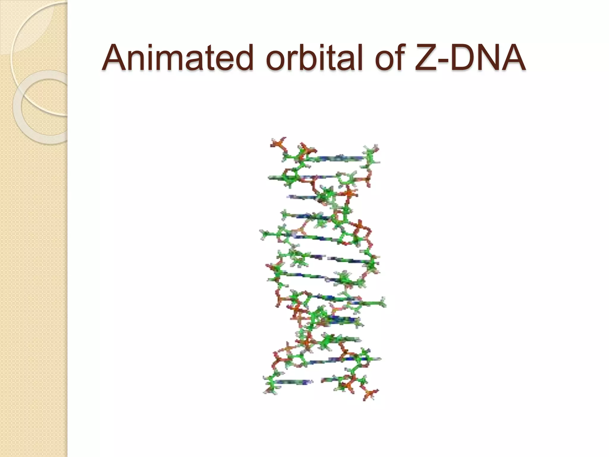 Forms of DNA | PPTX