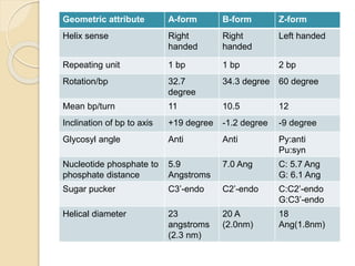 Forms of DNA | PPTX