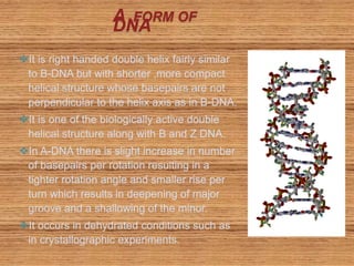 Forms of DNA | PPTX