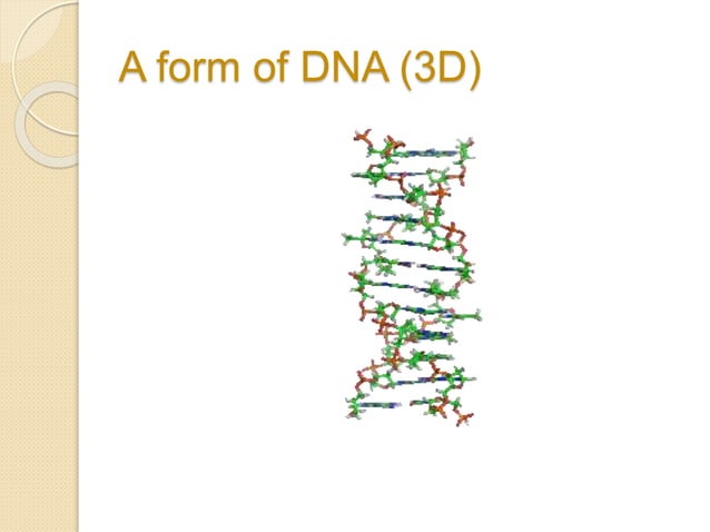 Forms of DNA | PPTX