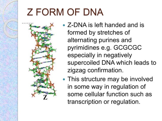 Forms of DNA | PPTX