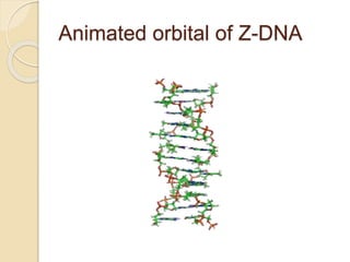 Forms of DNA | PPTX