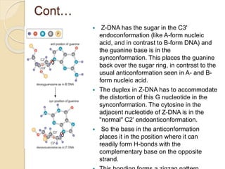 Forms of DNA | PPTX