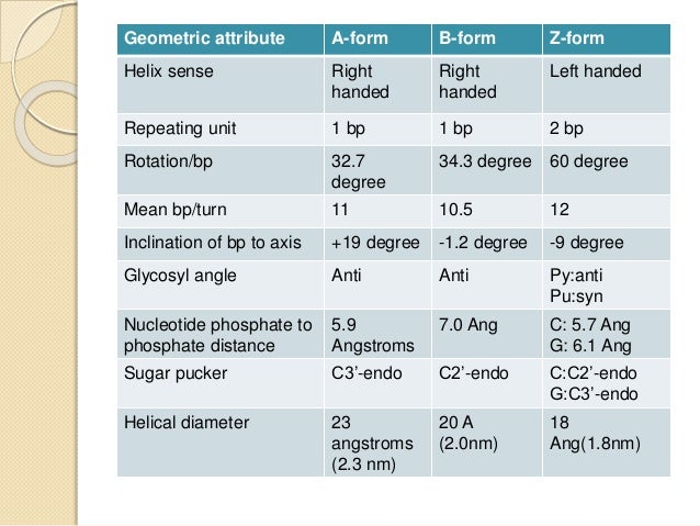 Forms of DNA