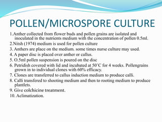 production of double haploid in crops | PPTX