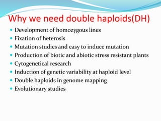 production of double haploid in crops | PPTX
