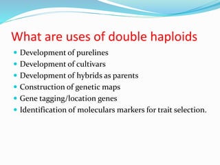 production of double haploid in crops | PPTX