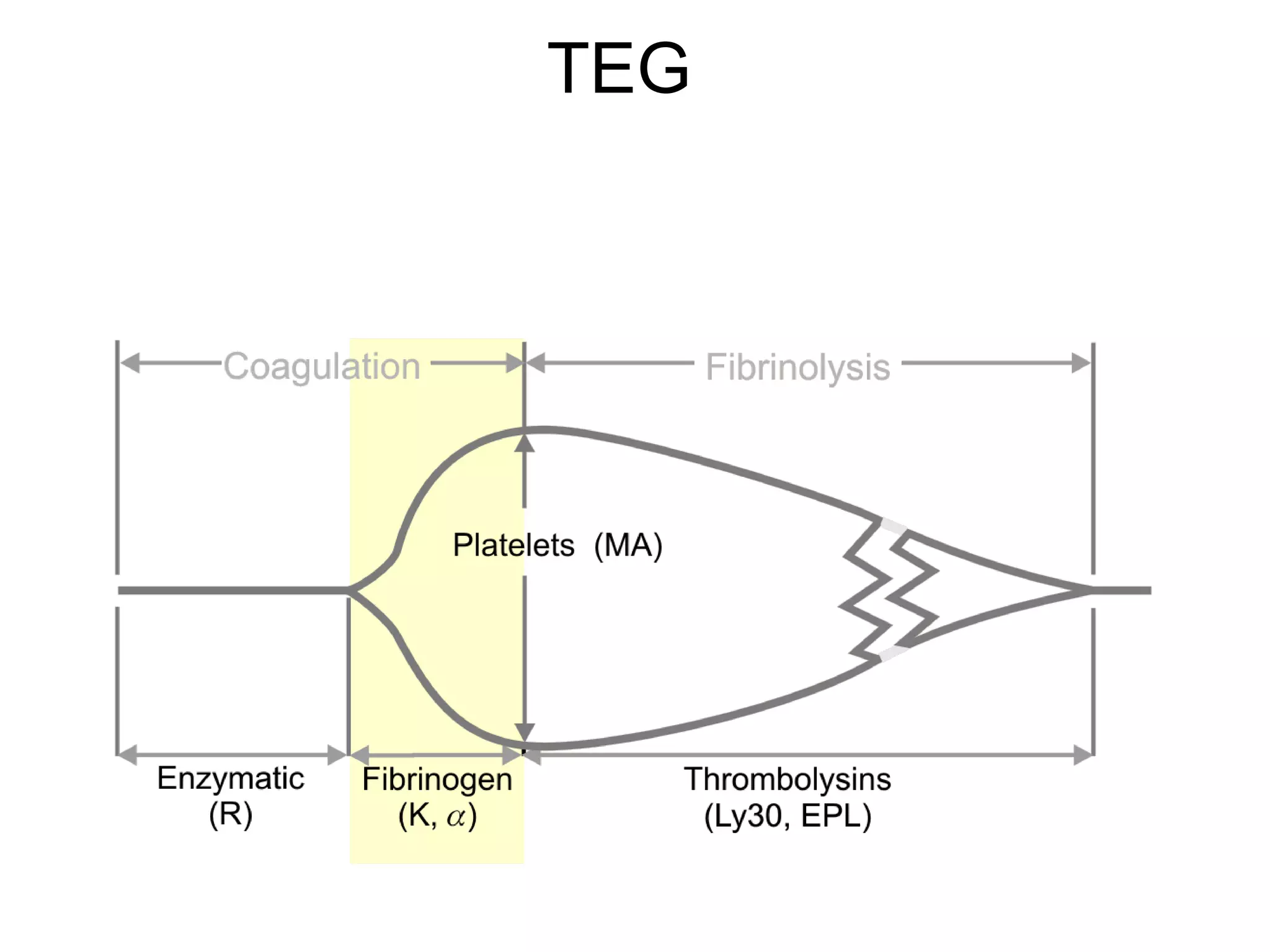 thromboelastography | PPT