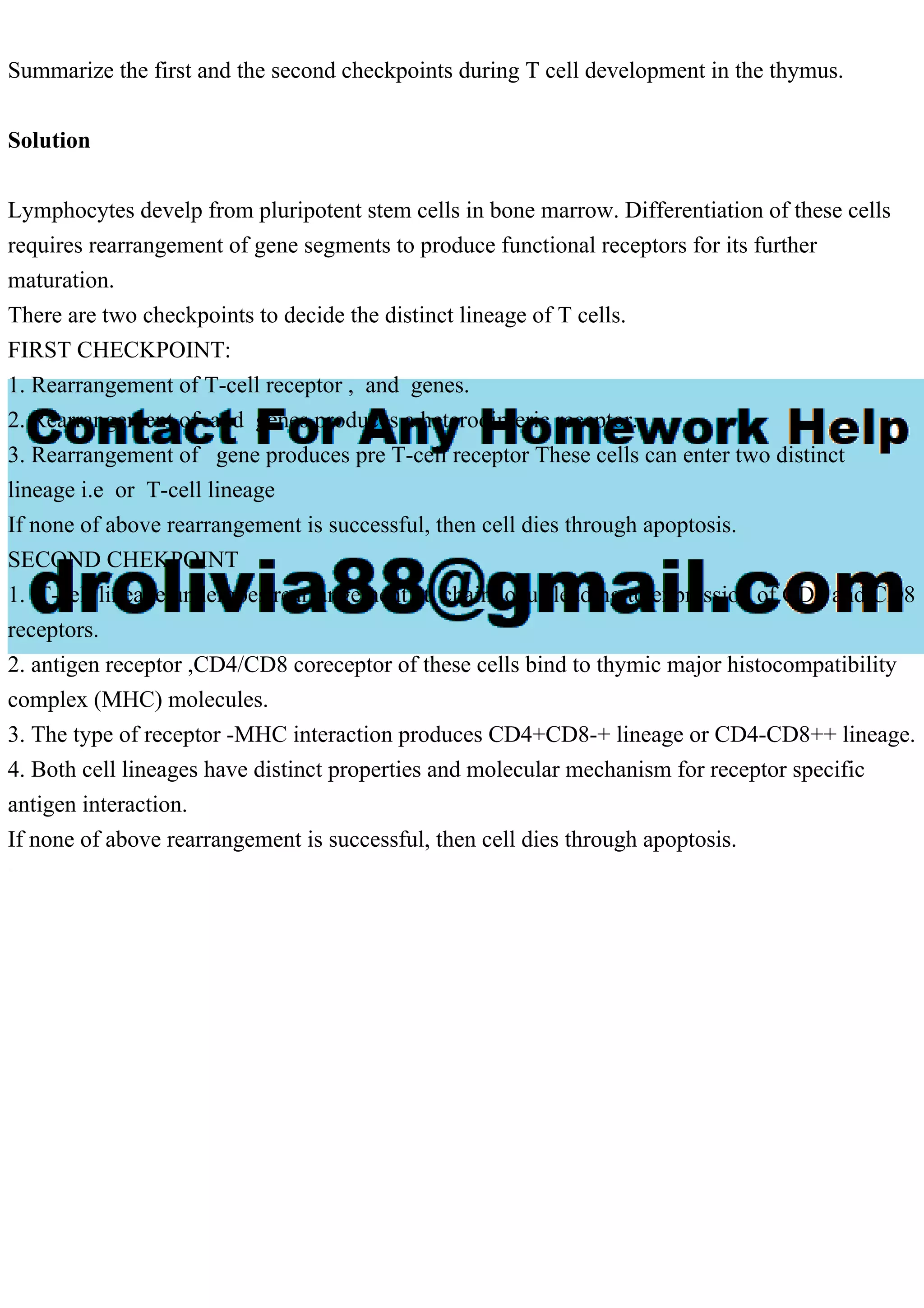 Summarize the first and the second checkpoints during T cell develop.pdf