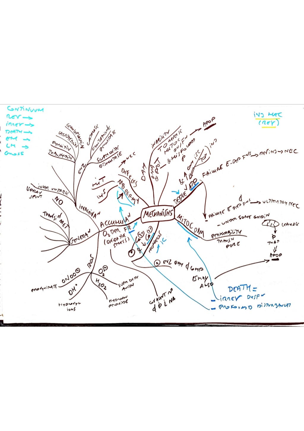 Mind Maps - Robbins Pathology - Cell Adaptation, Injury & Death - Sum…