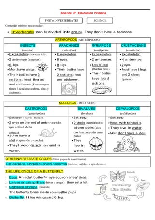 Summary | DOCX