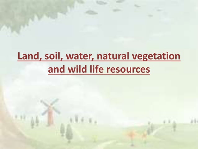 CLASS 8 CHAPTER 2 LAND WATER SOIL NATURAL VEGETATION AND WILD LIFE ...