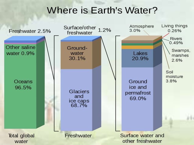 CLASS 8 CHAPTER 2 LAND WATER SOIL NATURAL VEGETATION AND WILD LIFE ...