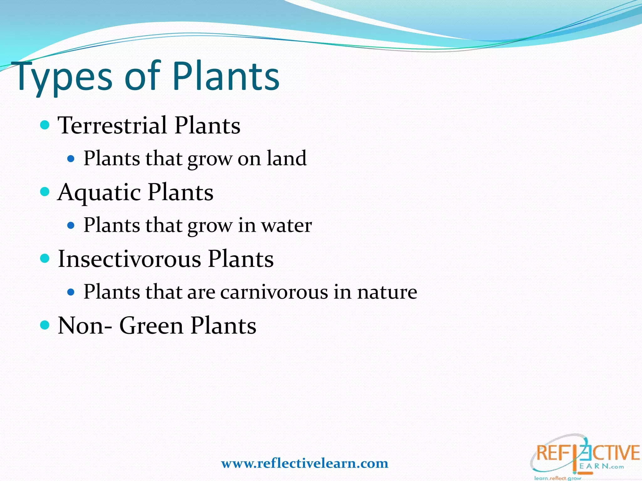 Class IV Science -Plants Adaptation | PPTX