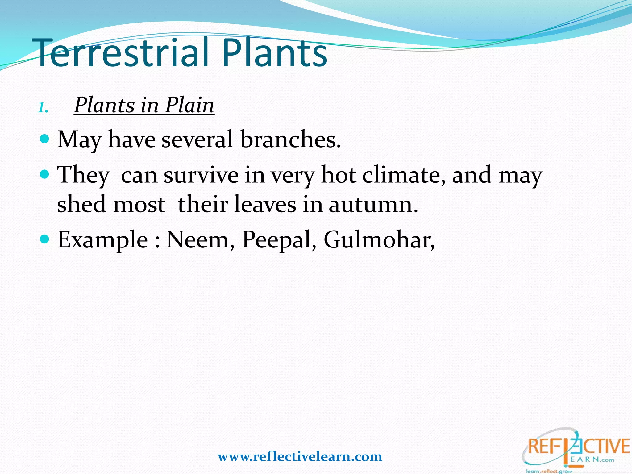 Class IV Science -Plants Adaptation | PPTX