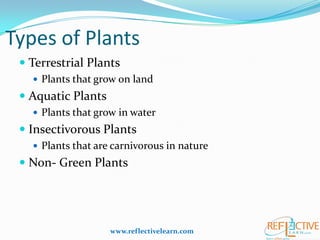 Class IV Science -Plants Adaptation | PPTX